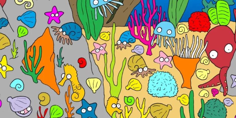 Visual test: find the fish hidden among the marine fauna