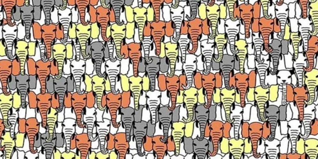 Visual challenge: can you find the panda hidden among the elephants ...