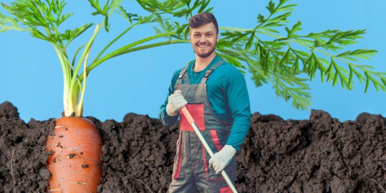 Grow carrots & create a beautiful vegetable garden!