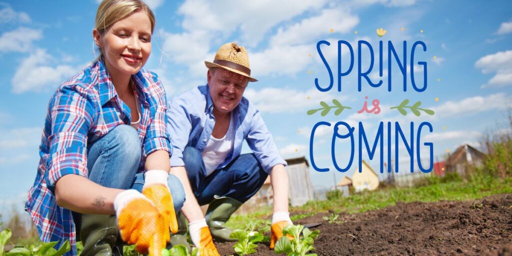 Gardening tips: Get your garden ready for Spring