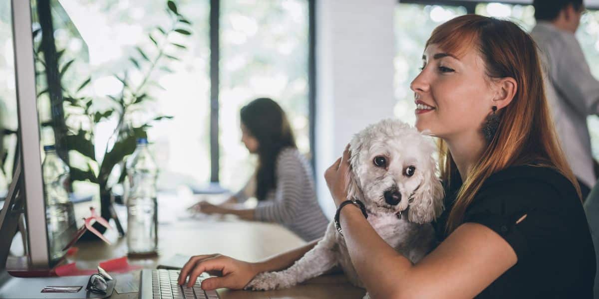 A pet-friendly workplace? The key to motivation and happiness ...