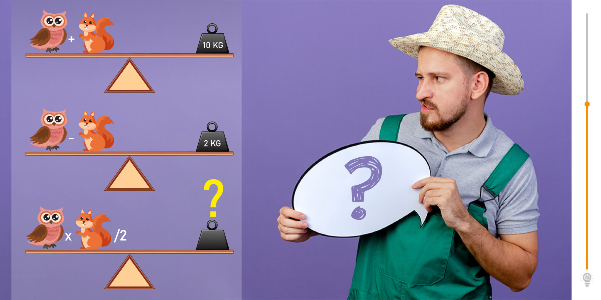 Brain-Busting math equation with an owl and a squirrel : test your IQ