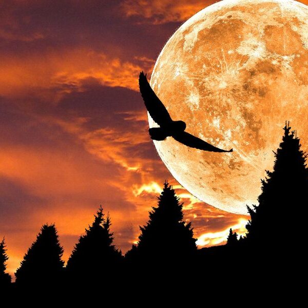 Personality test: What you see first will reveal if you are confident ...