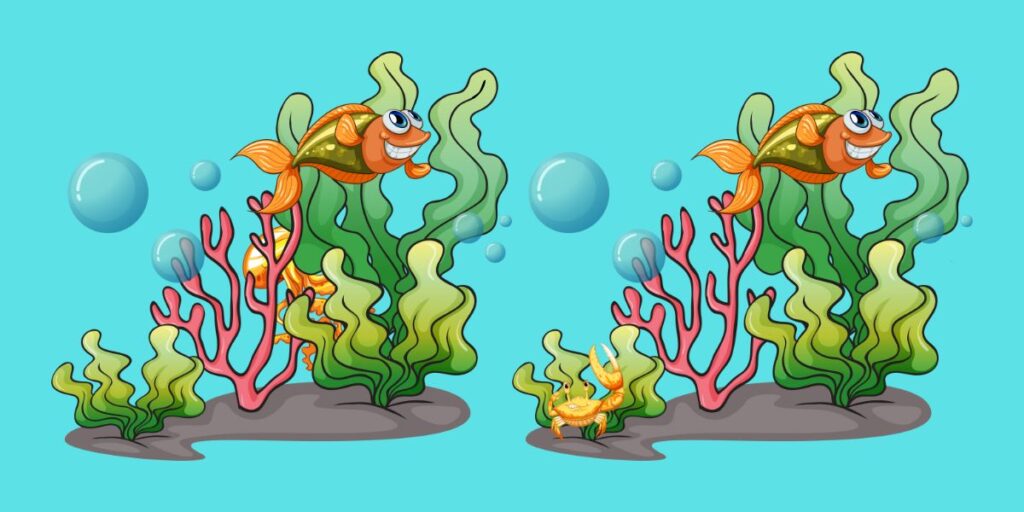 Test your observation with this 15-second underwater fish image challenge