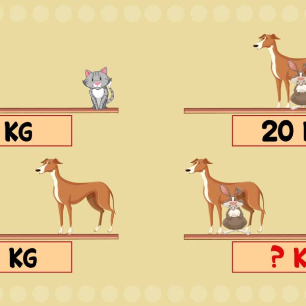 Brain teaser: Test your smarts and find out which way the schoolboy ...