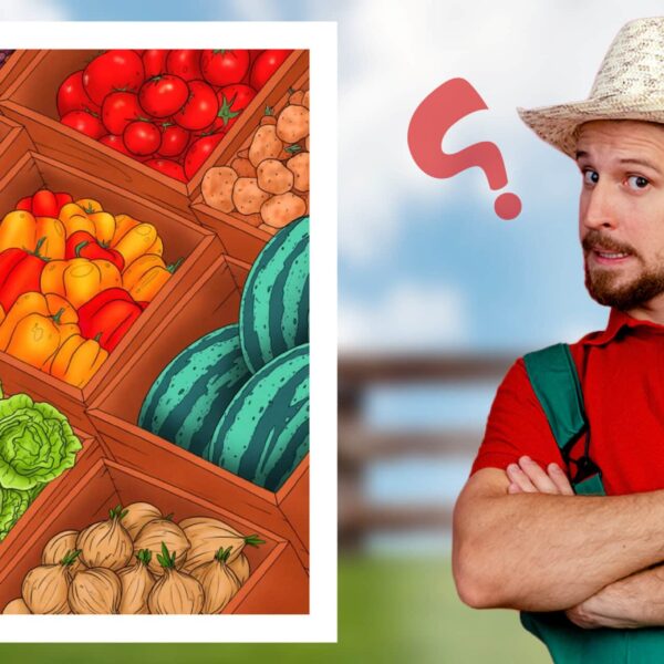 Visual challenge: Test your observational skills and find the 3 ...