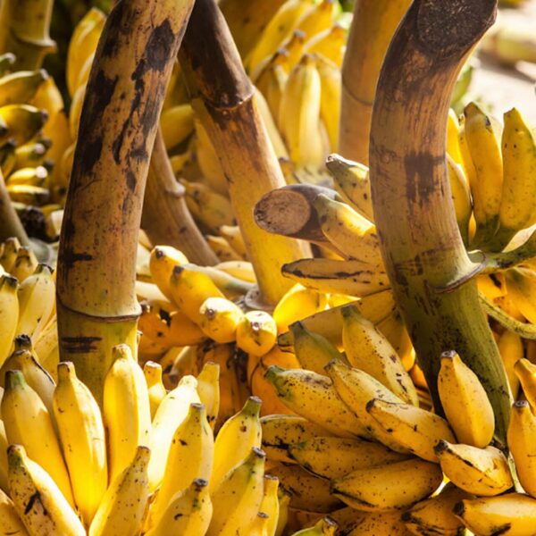 Observation skills test : Can you find the number "280" in only 10 ...