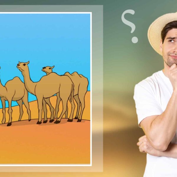 Observation test: Can you spot the flying ladybug in 15 seconds? Test ...