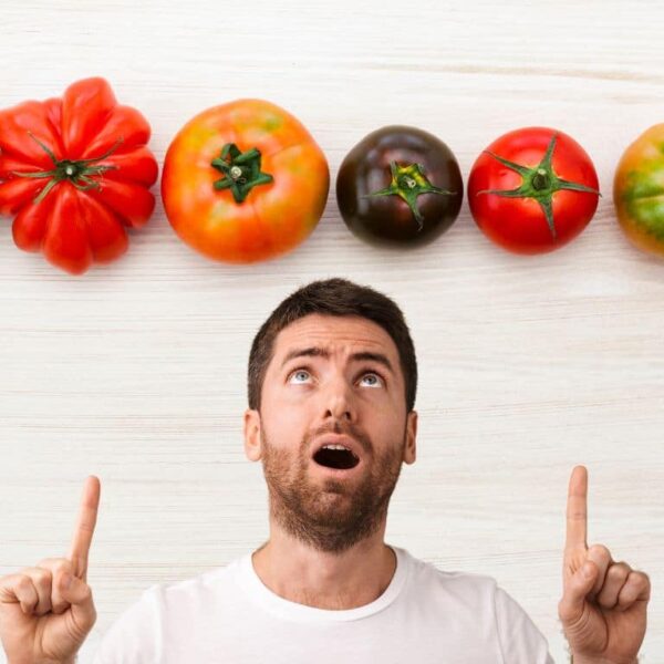 5 tips for attracting butterflies and bees to your garden - Abmeyerwood