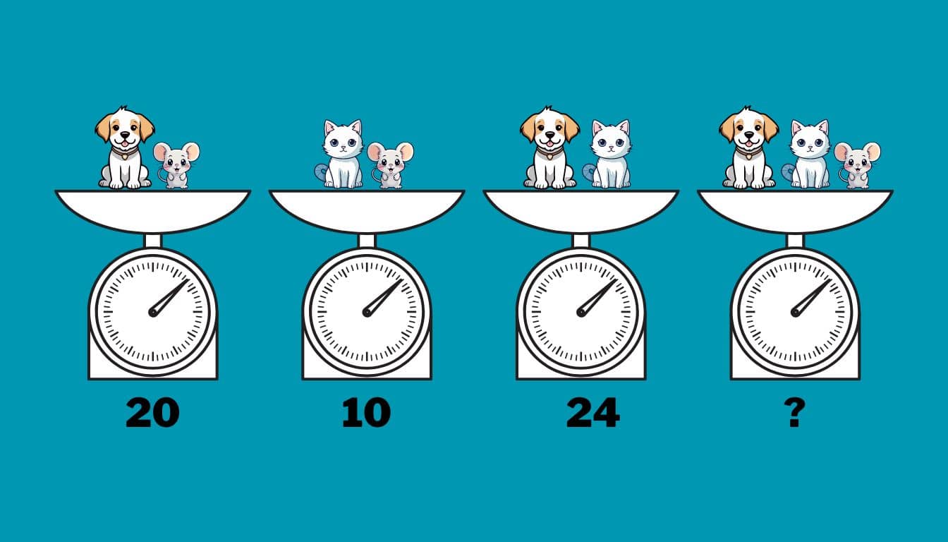 Are you a mathematical genius? Prove it and calculate the weight of all ...