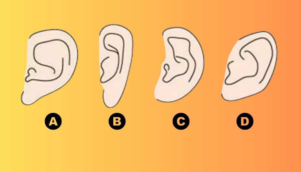 Listen to your intuition: What do your ears reveal about your hidden ...