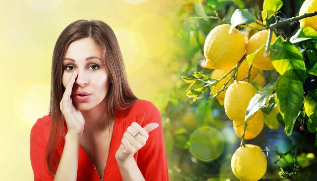 The secret to keeping your lemon surviving in autumn