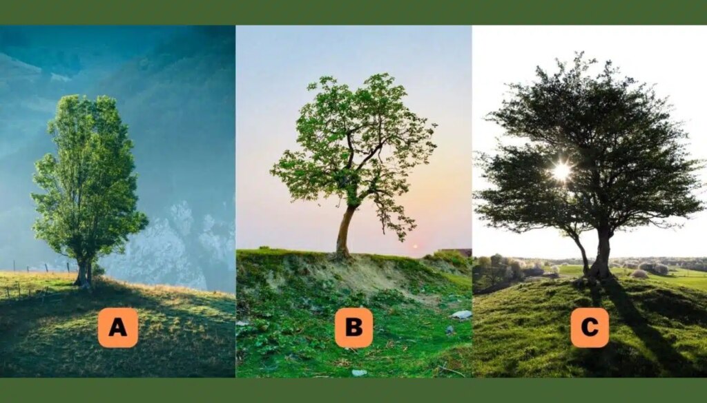 Discover your nostalgia level with this personality test: which tree ...